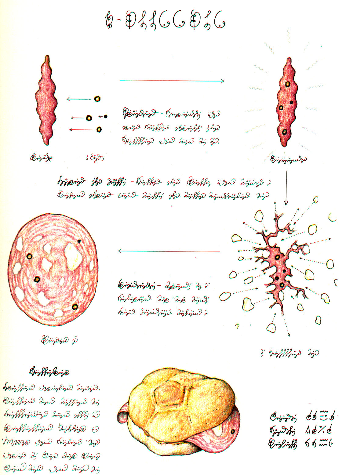 Scans of the Codex Seraphinianus Script