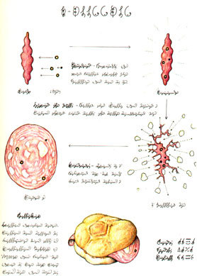 Scans of the Codex Seraphinianus Script
